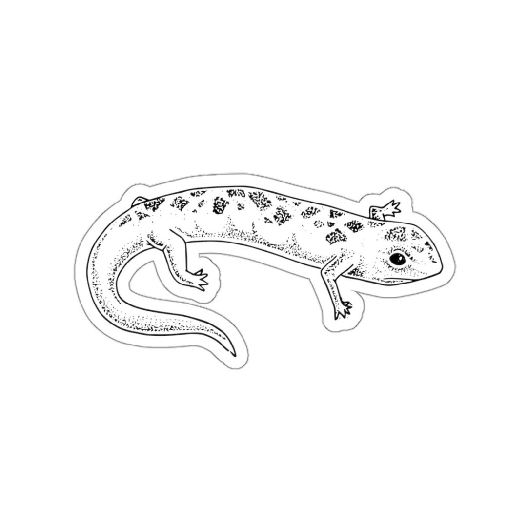 Salamander Sticker I Nature Sticker, Animal Sticker, Black and White ...
