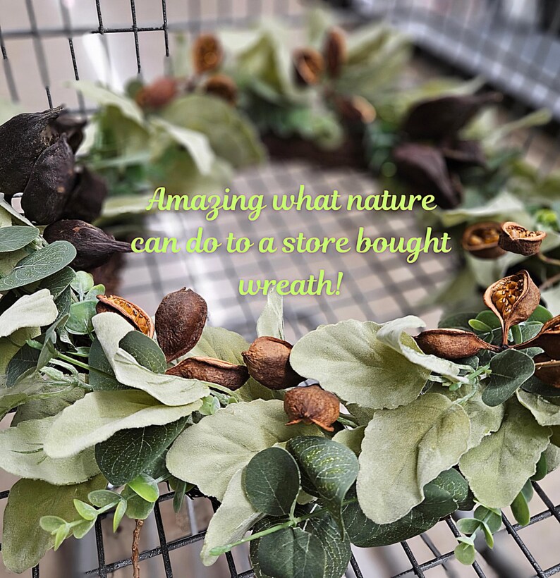 Bottle Tree Pods DIY Farmhouse Rustic Boho Wreaths Fairy Potpourri ...