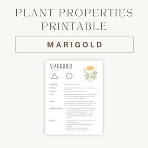 Marigold Herbal Printable - Detailed Plant Guide & Uses - Spiritual ...