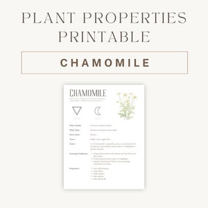 Chamomile Herbal Printable - Detailed Plant Guide & Uses - Spiritual ...