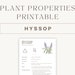 Ginseng Herbal Printable - Detailed Plant Guide & Uses - Spiritual Healing Properties Chart ...