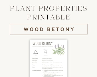 Ginseng Herbal Printable Detailed Plant Guide & Uses Spiritual Healing ...