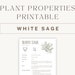 White Sage Herbal Printable - Detailed Plant Guide & Uses - Spiritual ...