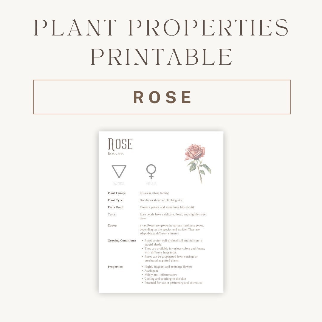 Rose Herbal Printable - Detailed Plant Guide & Uses - Spiritual Healing ...