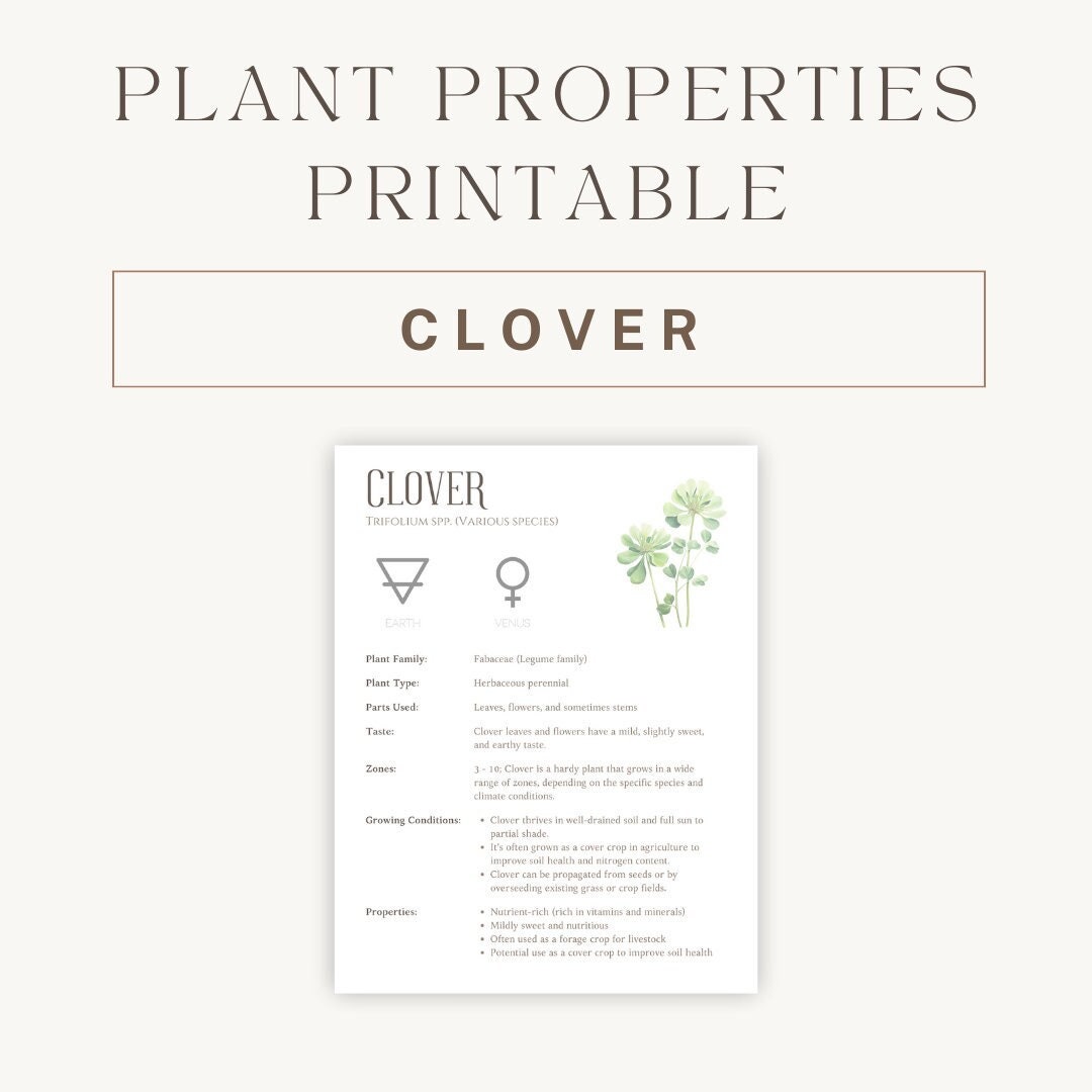 Clover Herbal Printable - Detailed Plant Guide & Uses - Spiritual ...