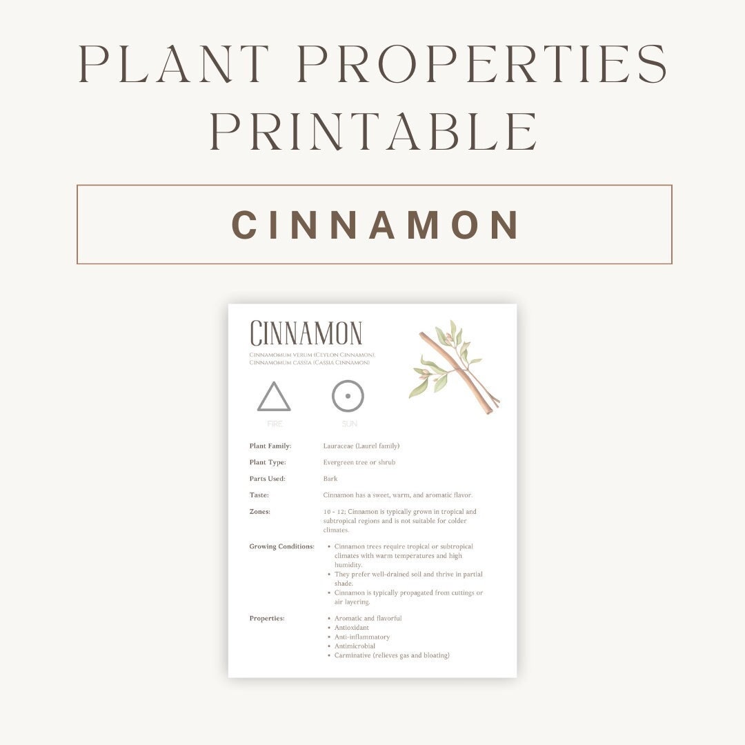 Cinnamon Herbal Printable - Detailed Plant Guide & Uses - Spiritual ...