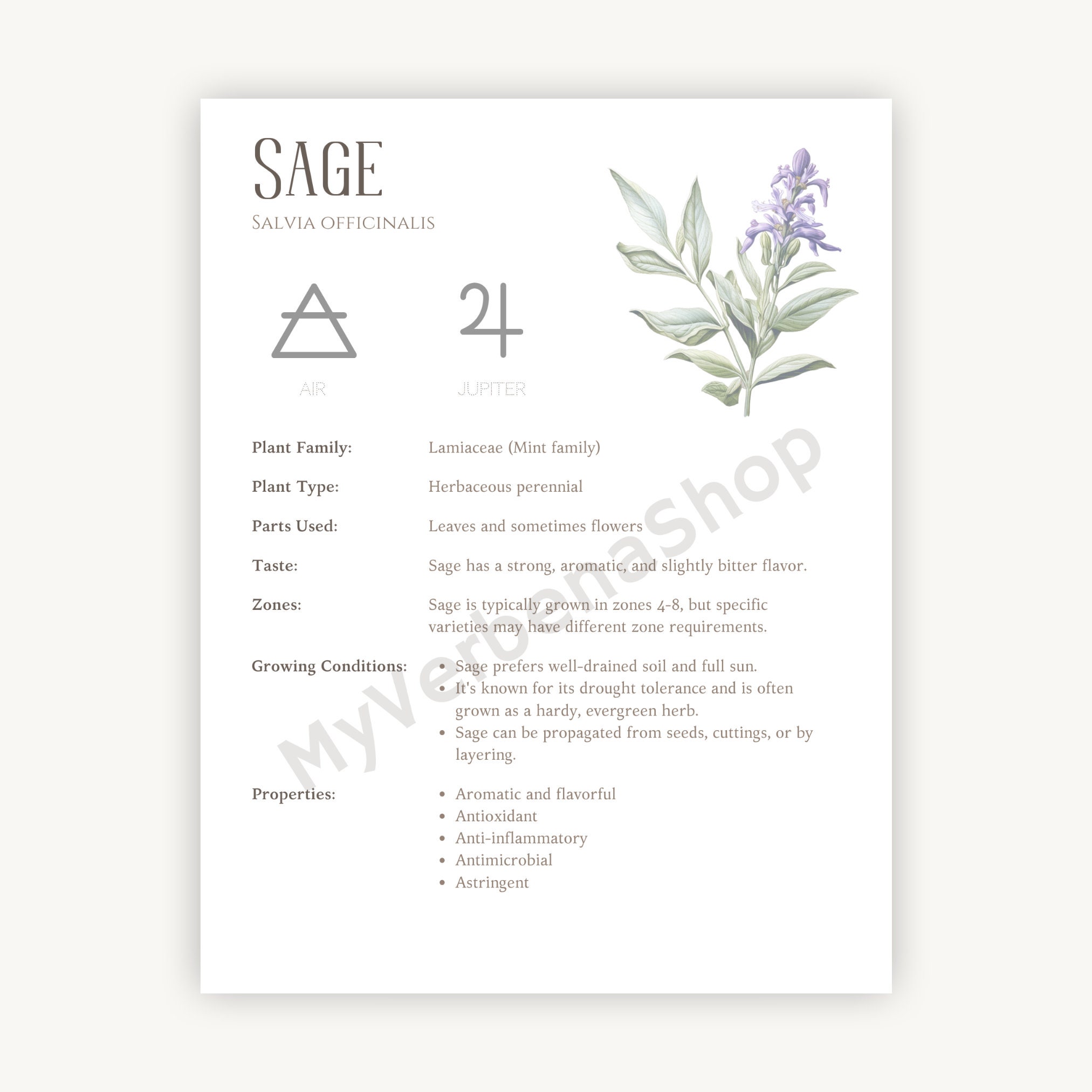 Sage Herbal Printable - Detailed Plant Guide & Uses - Spiritual Healing ...