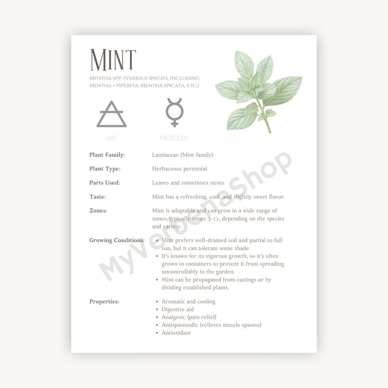 Mint Herbal Printable - Detailed Plant Guide & Uses - Spiritual Healing ...