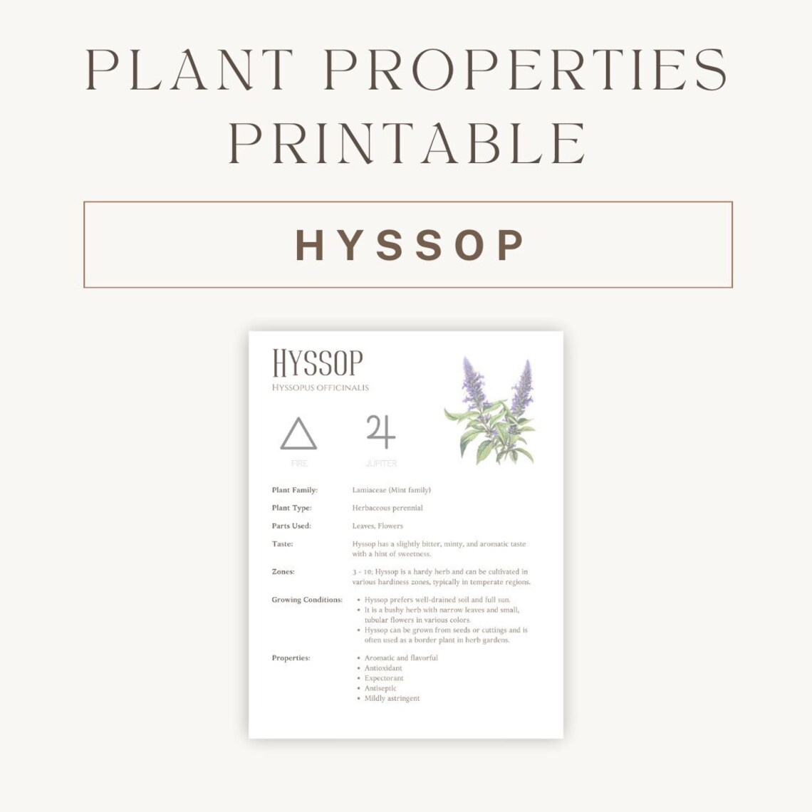 Hyssop Herbal Printable - Detailed Plant Guide & Uses - Spiritual ...