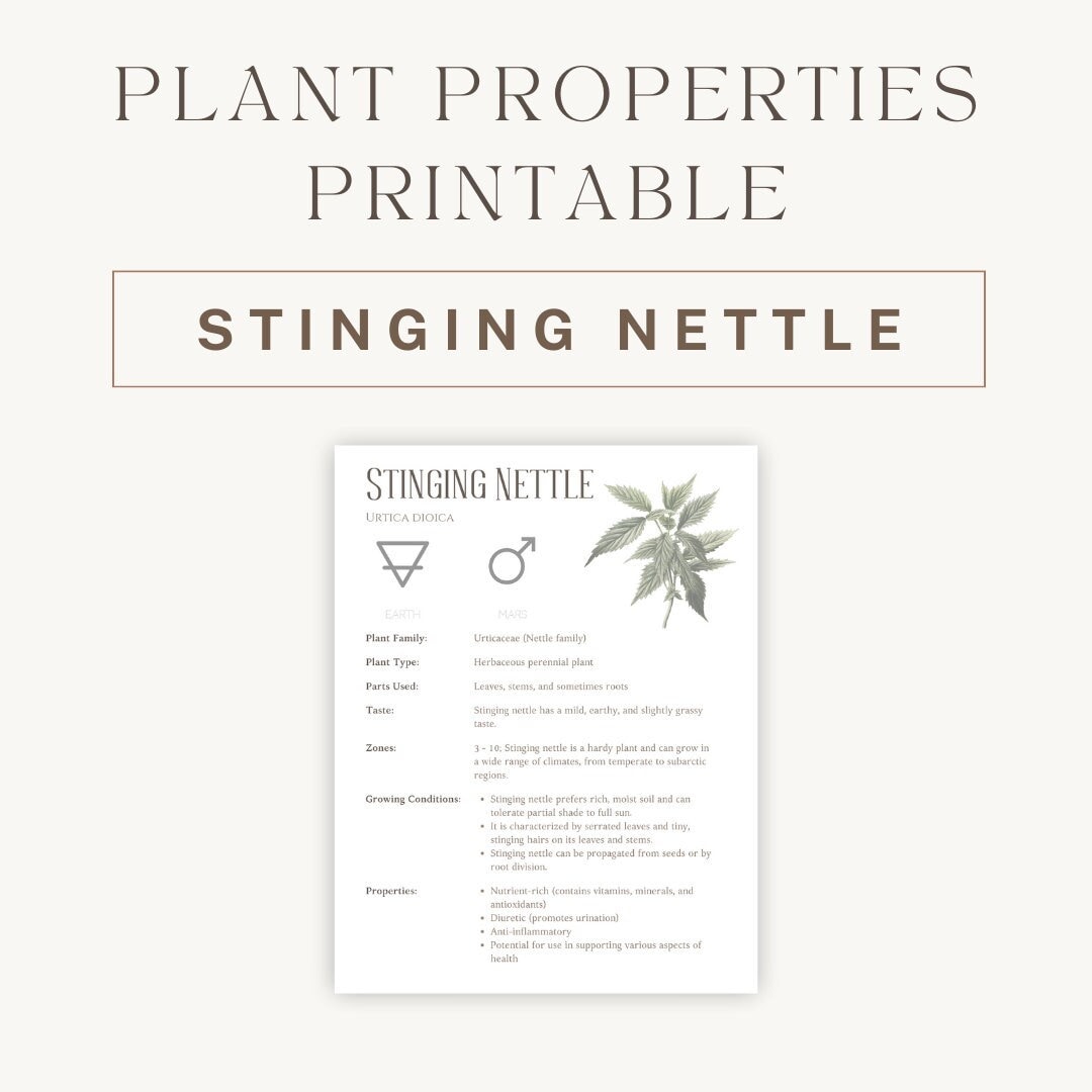 Stinging Nettle Herbal Printable - Detailed Plant Guide & Uses ...