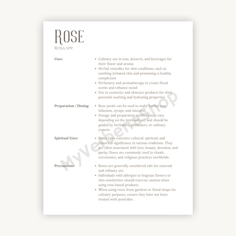 Rose Herbal Printable Detailed Plant Guide & Uses Spiritual Healing ...