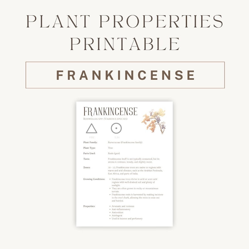 Frankincense Herbal Printable - Detailed Plant Guide & Uses - Spiritual ...
