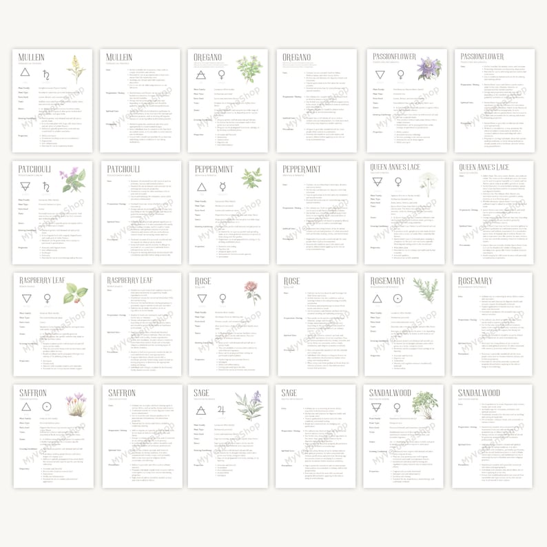 Complete Herbal Reference Set 74 Printable Herb Guides for Natural ...