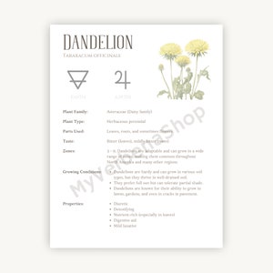 Dandelion Herbal Printable - Detailed Plant Guide & Uses - Spiritual ...