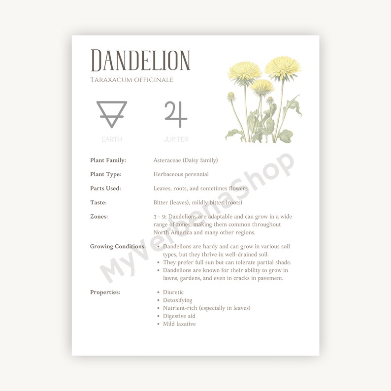 Dandelion Herbal Printable - Detailed Plant Guide & Uses - Spiritual ...