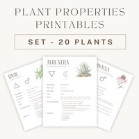 Kava Kava Herbal Printable Detailed Plant Guide & Uses Spiritual Healing Properties Chart ...