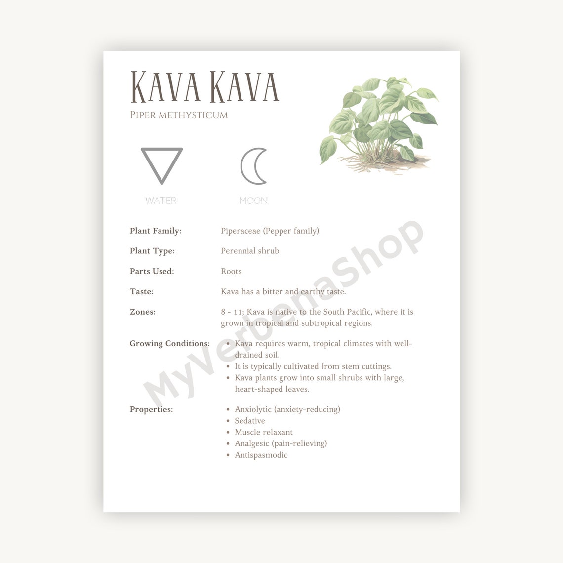 Kava Kava Herbal Printable - Detailed Plant Guide & Uses - Spiritual ...
