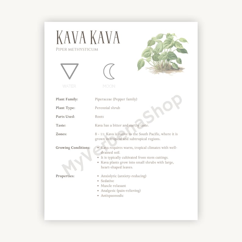 Kava Kava Herbal Printable - Detailed Plant Guide & Uses - Spiritual Healing Properties Chart ...