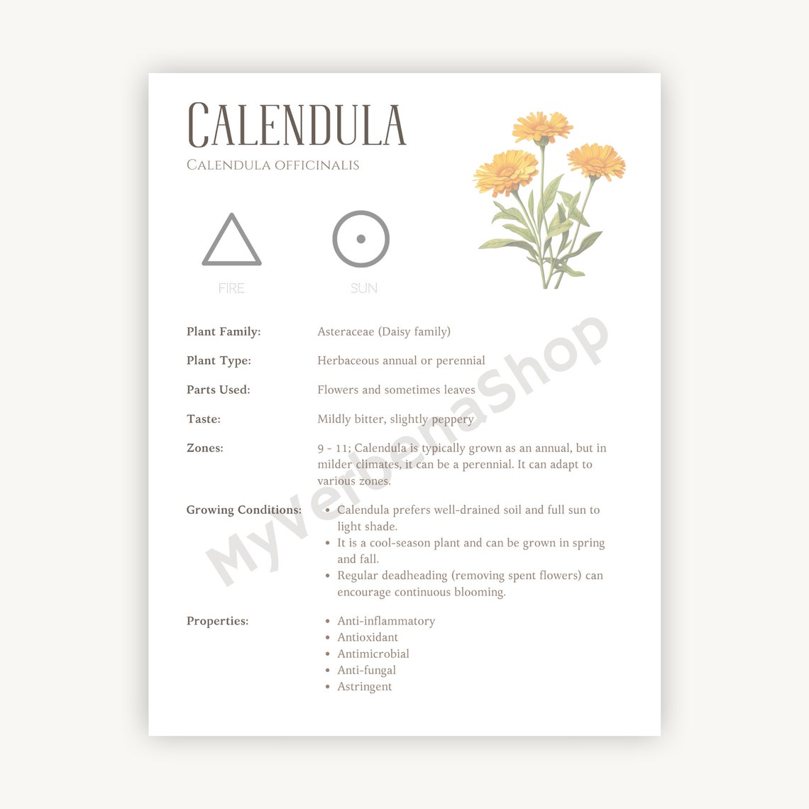 Calendula Herbal Printable - Detailed Plant Guide & Uses - Spiritual ...