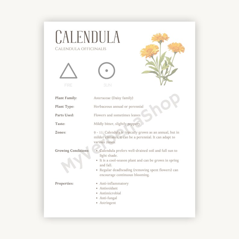 Calendula Herbal Printable - Detailed Plant Guide & Uses - Spiritual ...