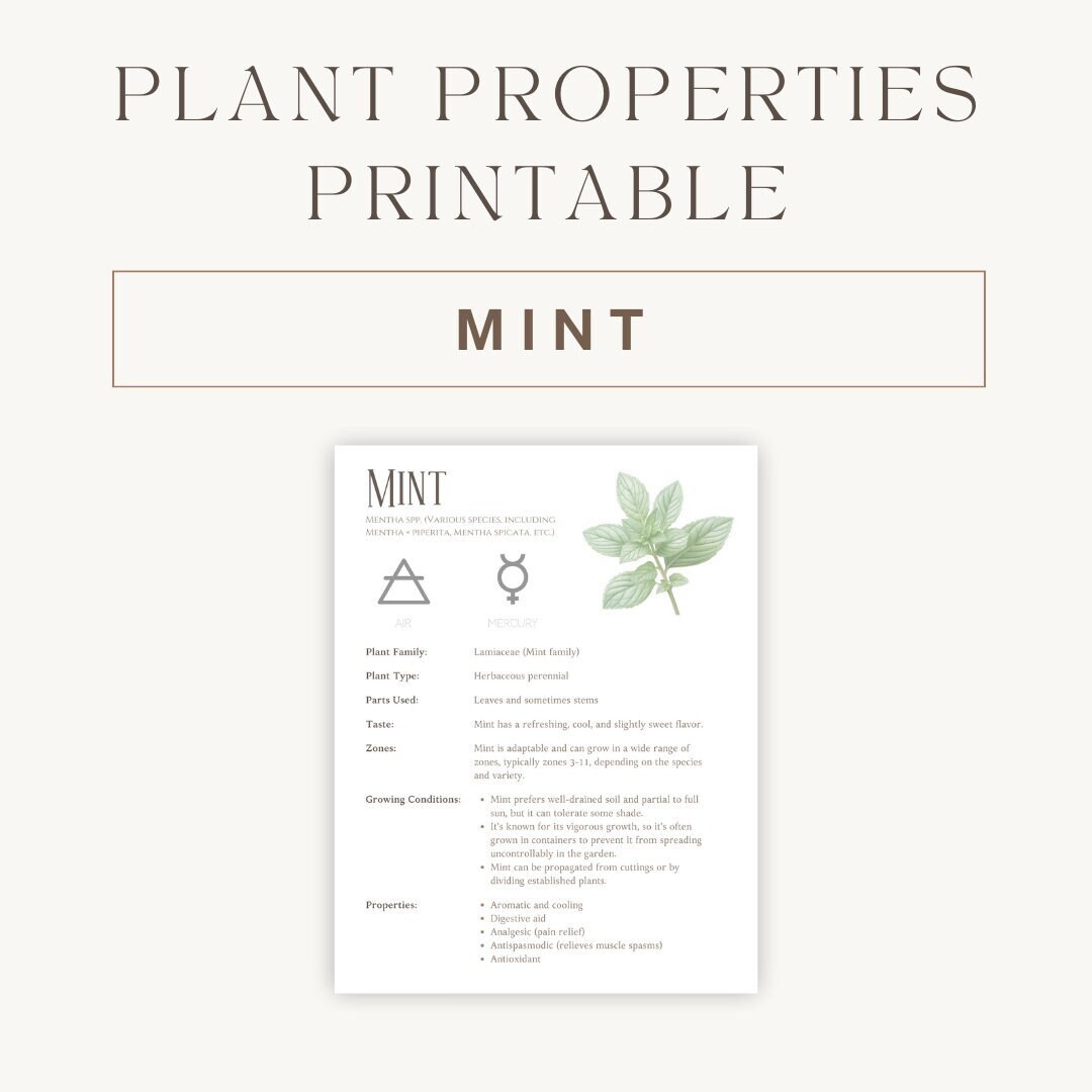 Mint Herbal Printable - Detailed Plant Guide & Uses - Spiritual Healing ...