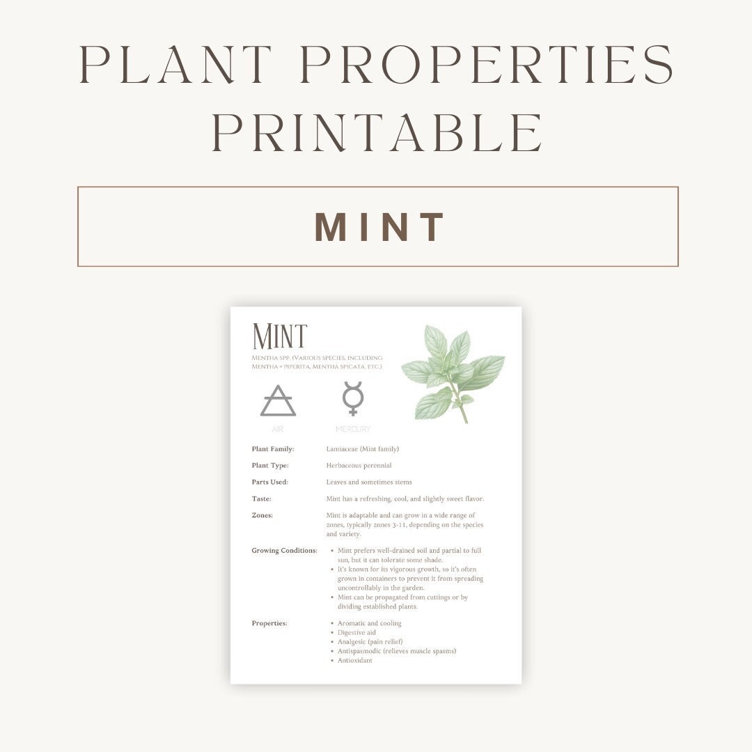 Mint Herbal Printable - Detailed Plant Guide & Uses - Spiritual Healing ...