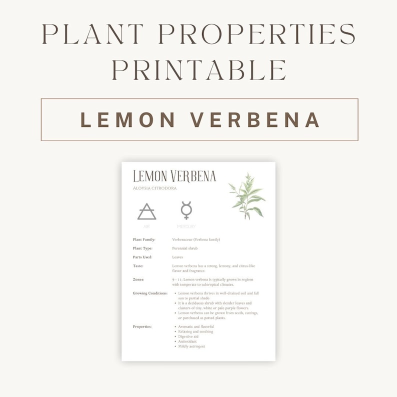 Lemon Verbena Herbal Printable - Detailed Plant Guide & Uses ...