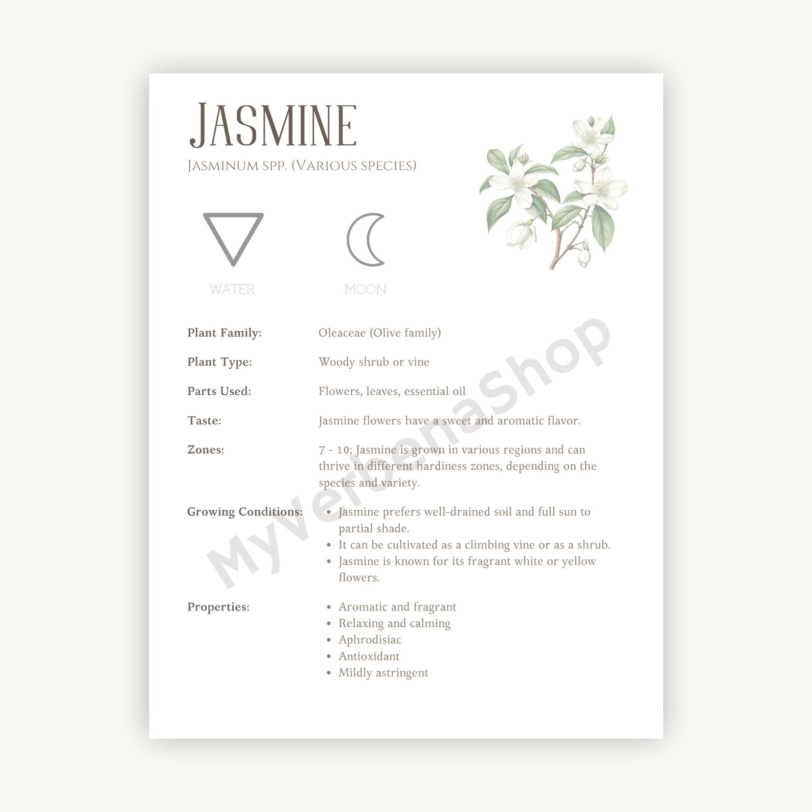Jasmine Herbal Printable - Detailed Plant Guide & Uses - Spiritual ...