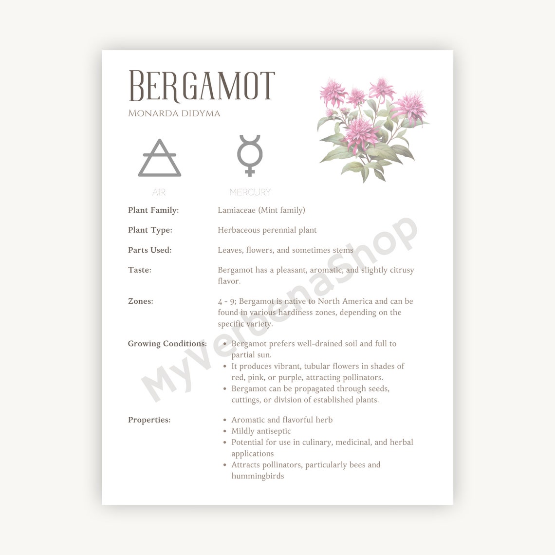 Bergamot Herbal Printable - Detailed Plant Guide & Uses - Spiritual ...