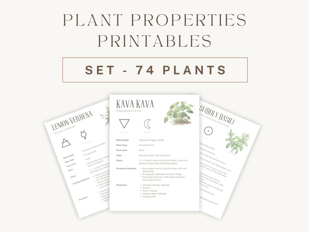 Complete Herbal Reference Set 74 Printable Herb Guides for Natural ...