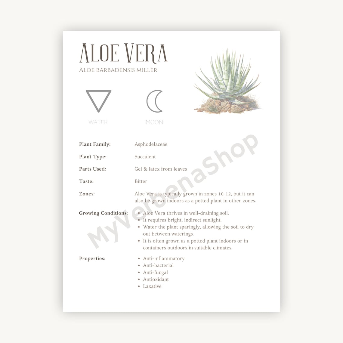 Aloe Vera Herbal Printable Detailed Plant Guide & Uses Spiritual ...