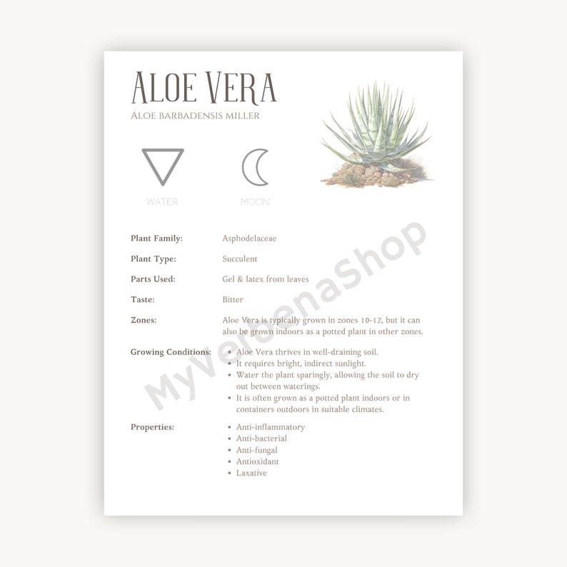 Aloe Vera Herbal Printable - Detailed Plant Guide & Uses - Spiritual ...