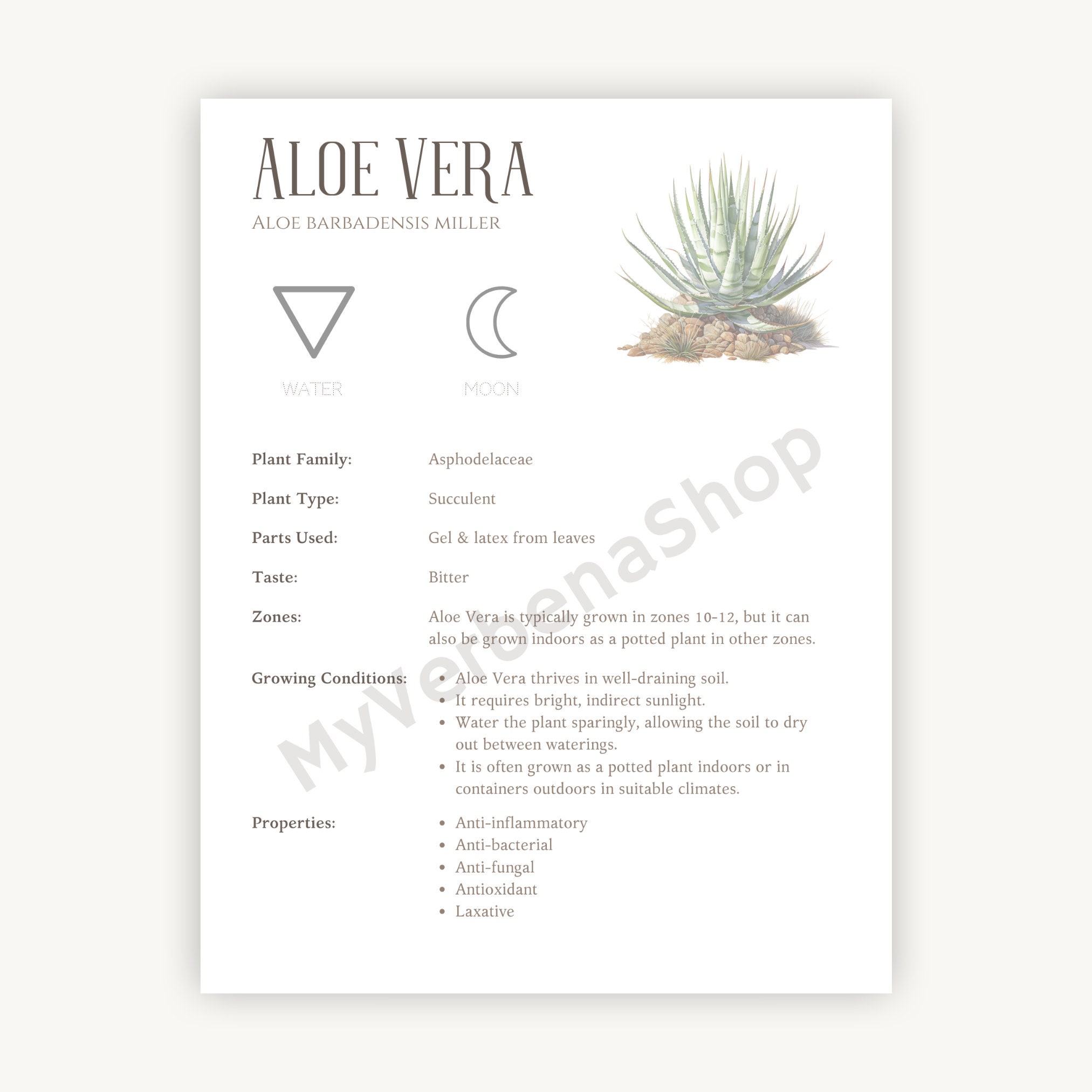 Aloe Vera Herbal Printable - Detailed Plant Guide & Uses - Spiritual ...