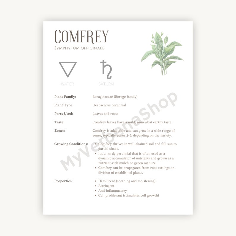 Comfrey Herbal Printable - Detailed Plant Guide & Uses - Spiritual ...