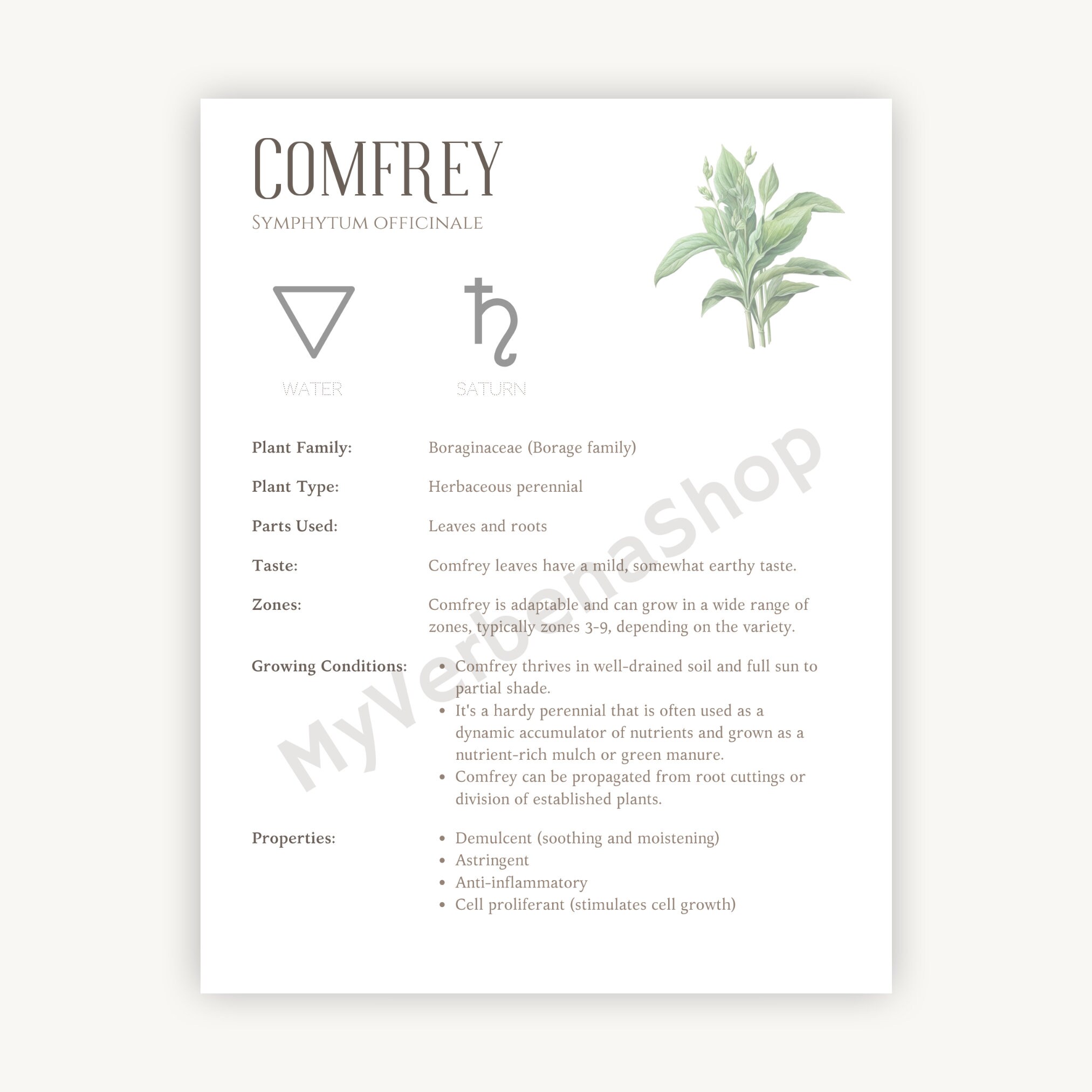 Comfrey Herbal Printable - Detailed Plant Guide & Uses - Spiritual ...