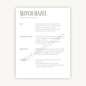 Witch Hazel Herbal Printable - Detailed Plant Guide & Uses - Spiritual ...