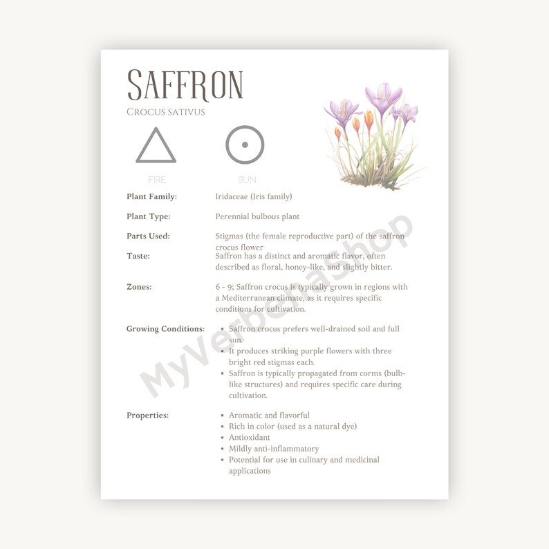 Saffron Herbal Printable - Detailed Plant Guide & Uses - Spiritual ...