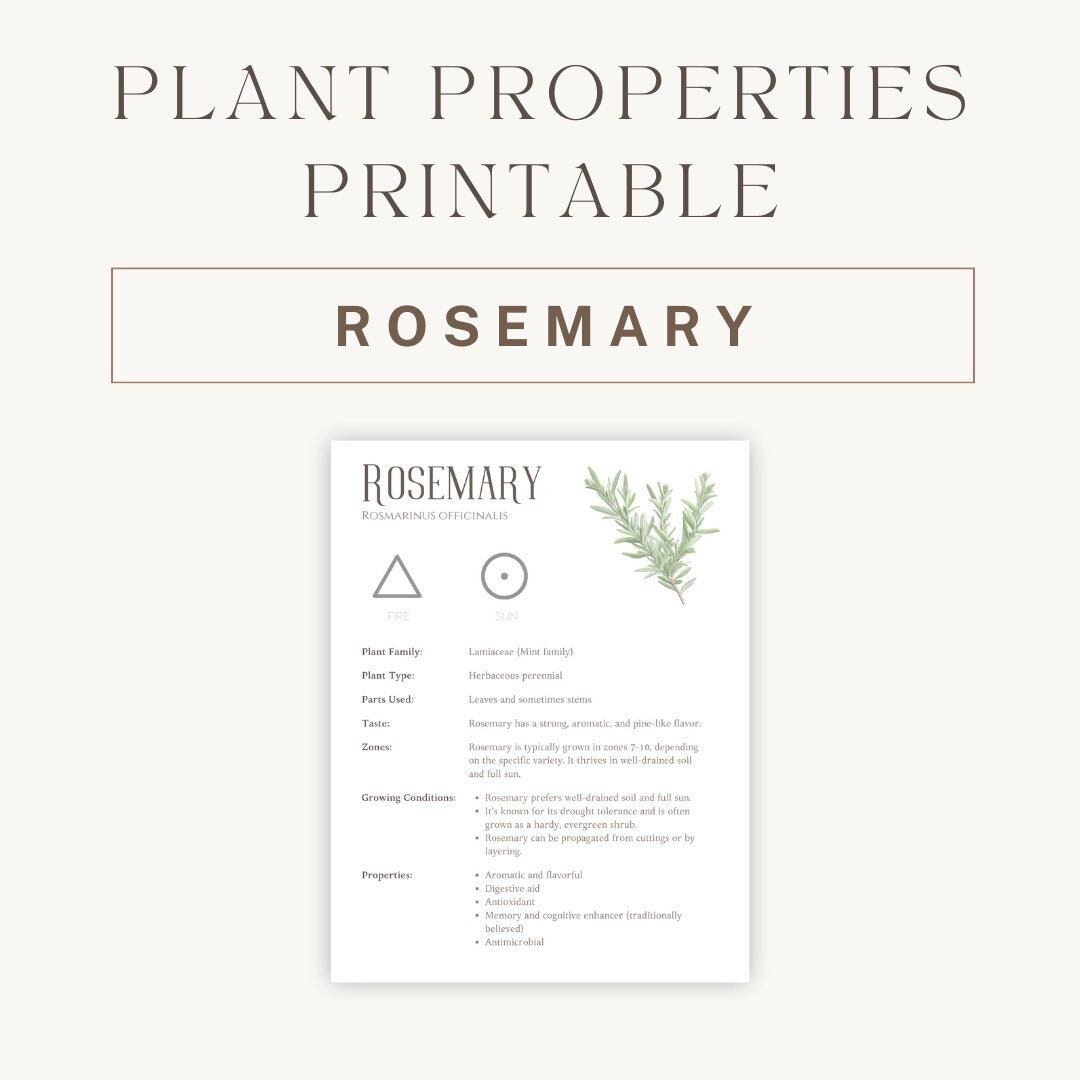Rosemary Herbal Printable - Detailed Plant Guide & Uses - Spiritual ...