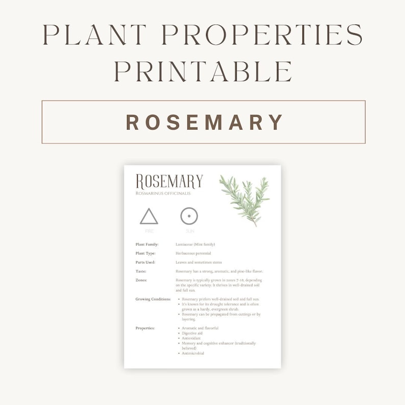 Rosemary Herbal Printable - Detailed Plant Guide & Uses - Spiritual ...