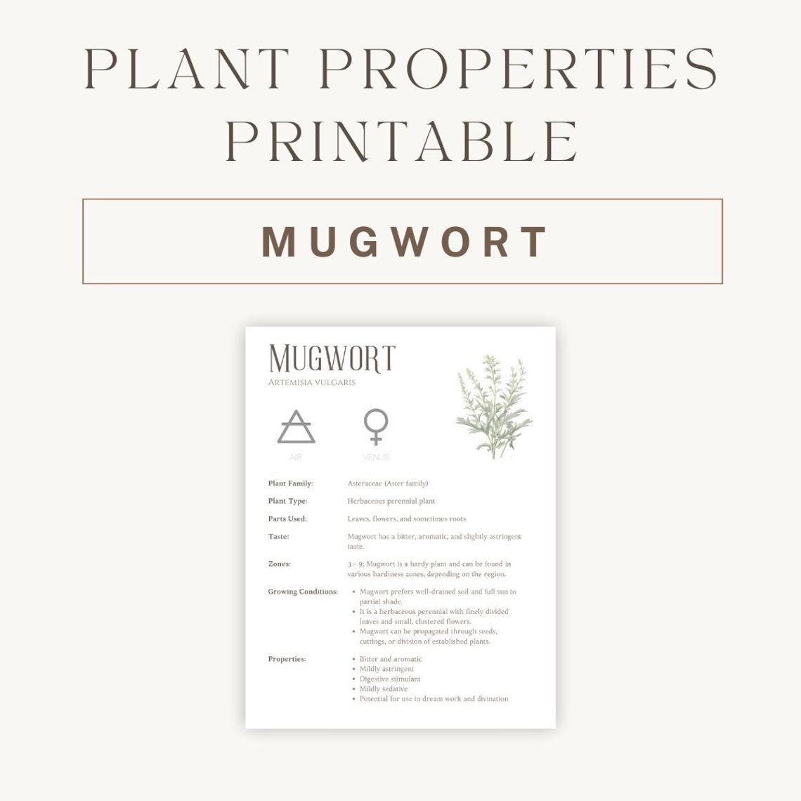 Mugwort Herbal Printable - Detailed Plant Guide & Uses - Spiritual ...