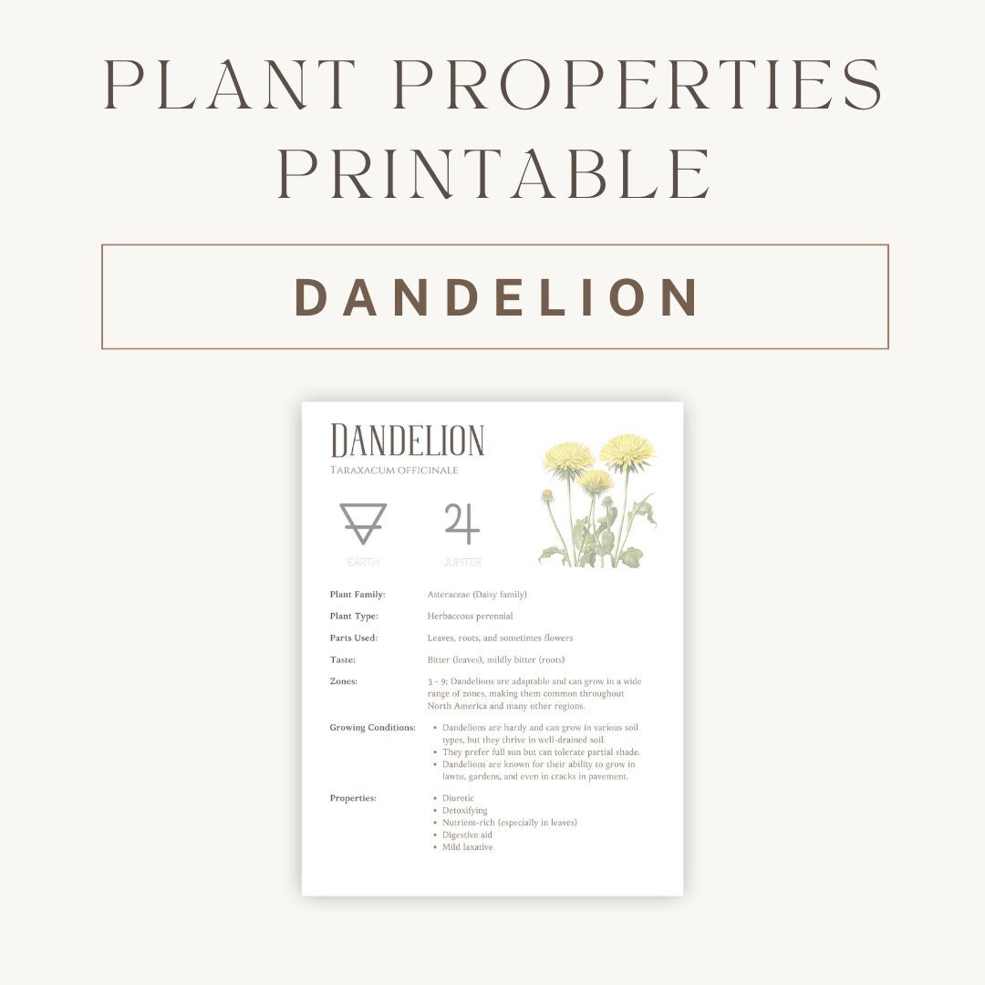 Dandelion Herbal Printable - Detailed Plant Guide & Uses - Spiritual ...