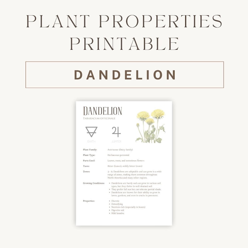 Dandelion Herbal Printable - Detailed Plant Guide & Uses - Spiritual ...
