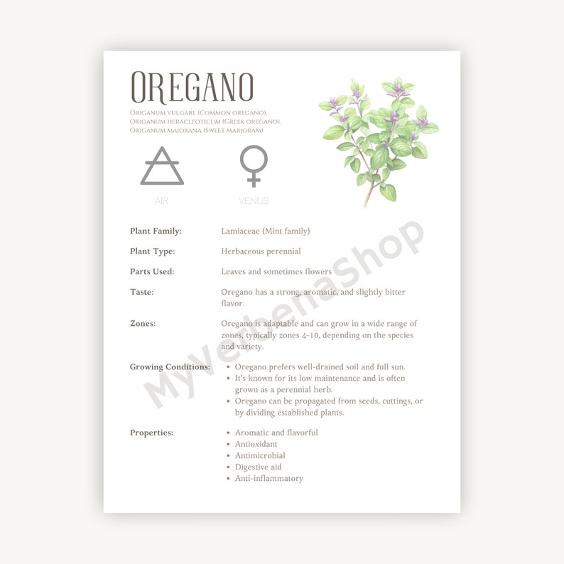 Oregano Herbal Printable - Detailed Plant Guide & Uses - Spiritual ...