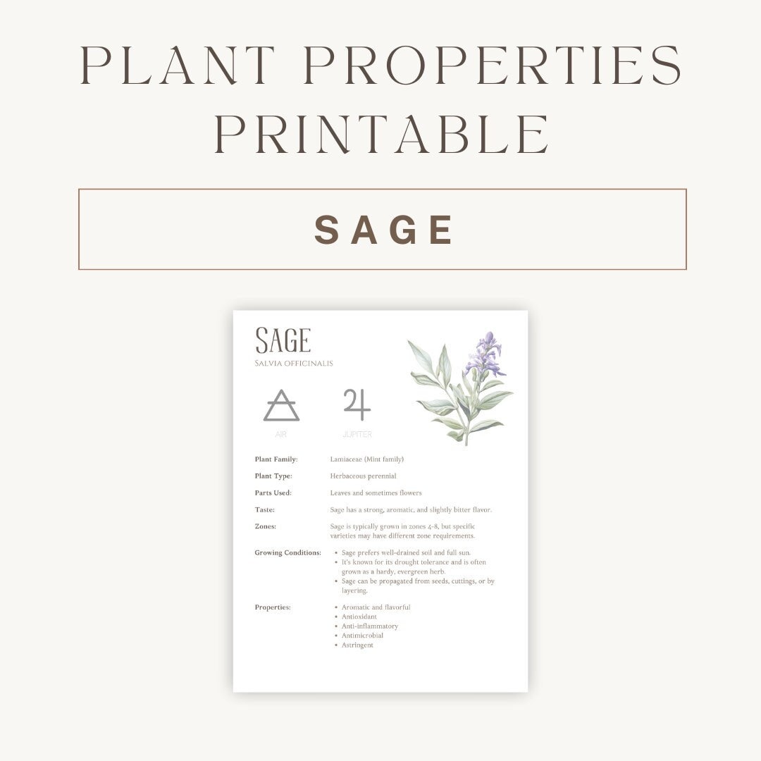 Sage Herbal Printable - Detailed Plant Guide & Uses - Spiritual Healing ...