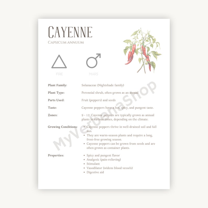 Cayenne Herbal Printable - Detailed Plant Guide & Uses - Spiritual ...