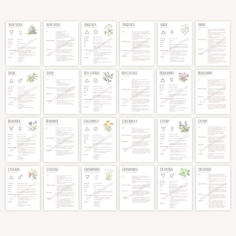 Complete Herbal Reference Set 74 Printable Herb Guides for Natural ...