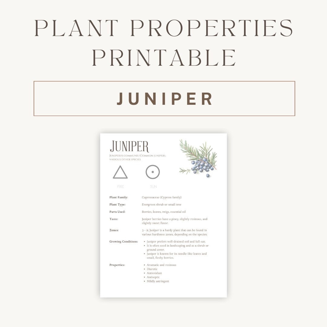 Juniper Herbal Printable - Detailed Plant Guide & Uses - Spiritual ...