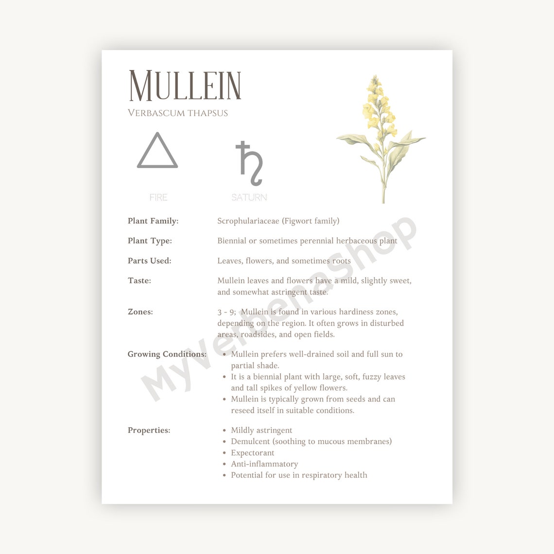 Mullein Herbal Printable - Detailed Plant Guide & Uses - Spiritual ...