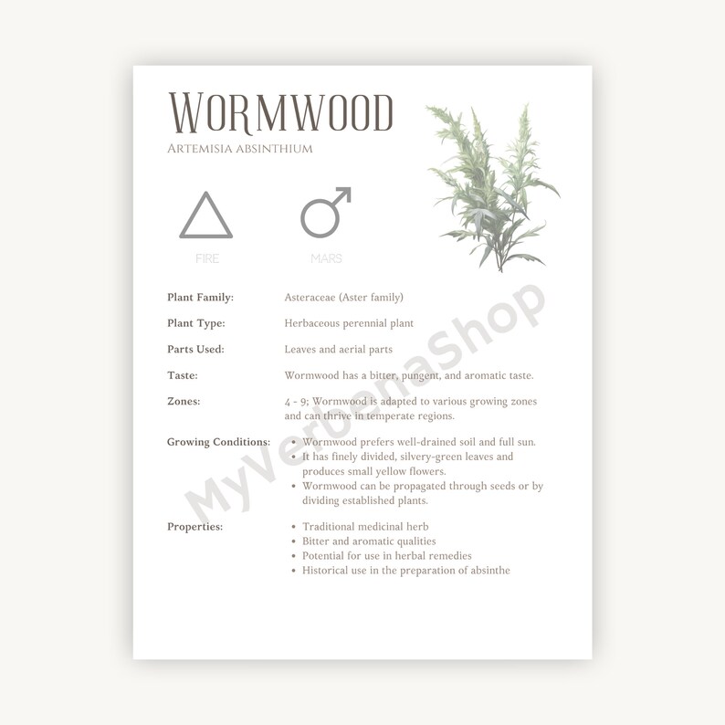 Wormwood Herbal Printable - Detailed Plant Guide & Uses - Spiritual ...