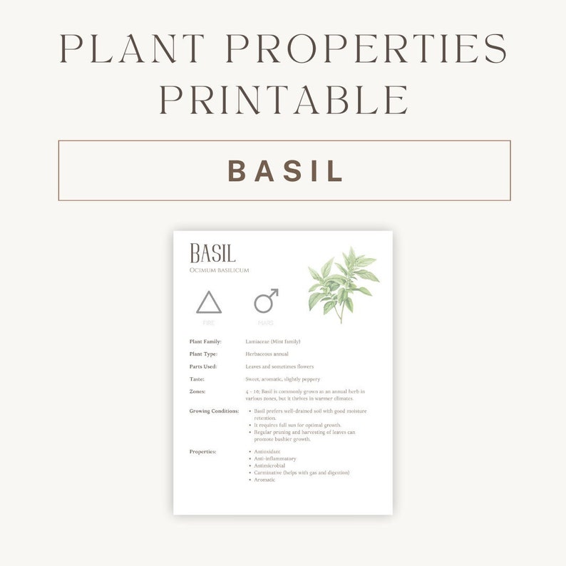Basil Herbal Printable - Detailed Plant Guide & Uses - Spiritual ...